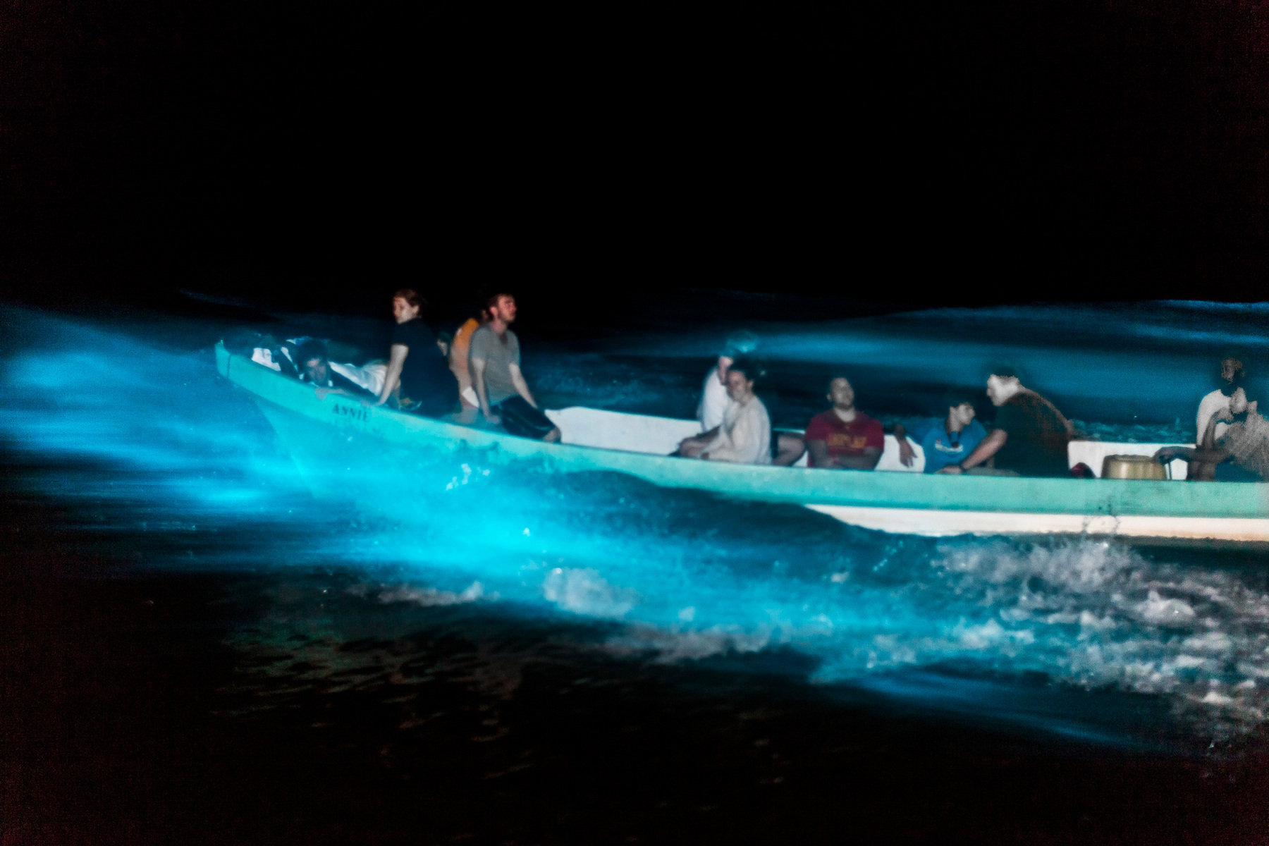 Bioluminescent Lagoon : Matthew Sileo Photography | Birds, Wildlife ...
